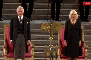 What King Charles III Said In His First Address to Parliament by GIPHY ...