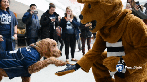 Penn State GIF - Find & Share on GIPHY