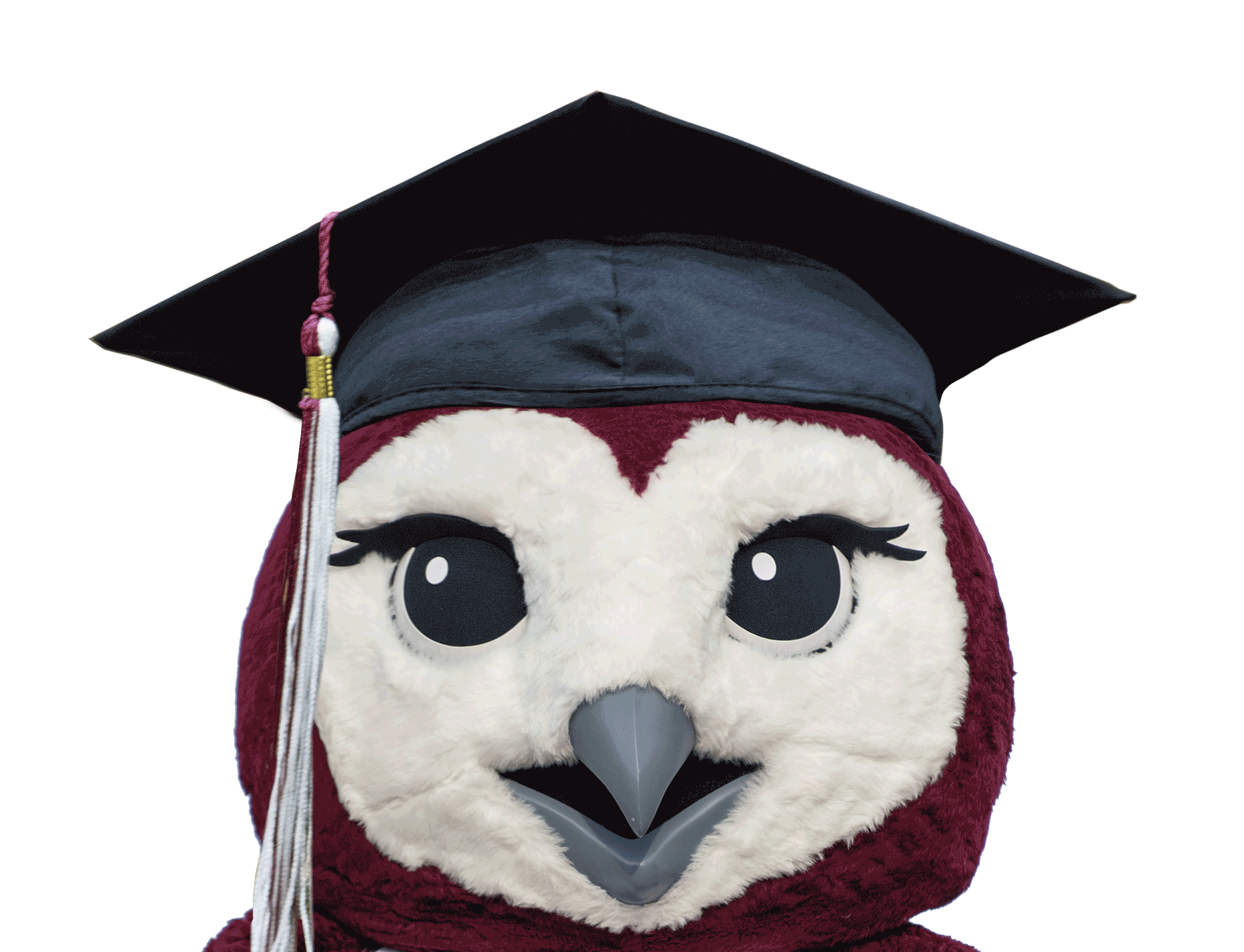 Texas Womans University College Sticker by TXWomans for iOS & Android ...