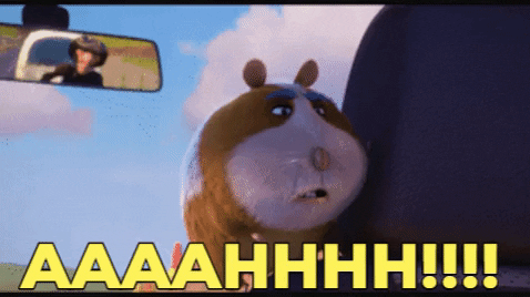 Aaaahhhh GIFs - Get the best GIF on GIPHY