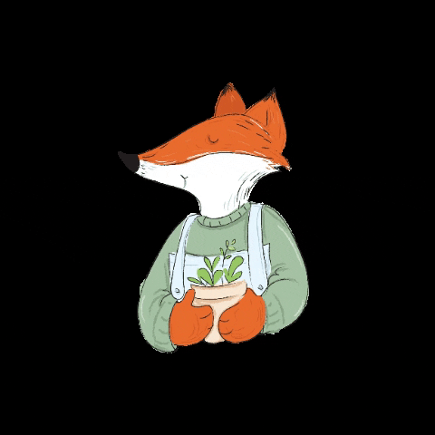 Roka GIFs - Get the best GIF on GIPHY