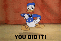 Donald Duck Dancing Gif