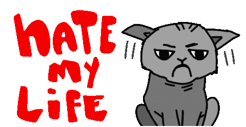 Transparent Grumpy Cat Gif