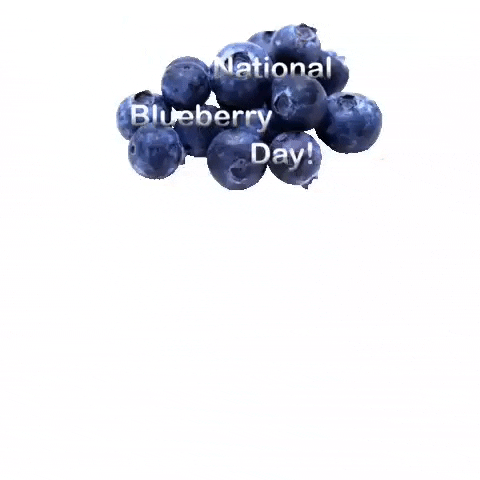 National Blueberries Day GIFs - Get the best GIF on GIPHY
