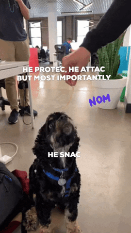 But Most Importantly GIFs - Get the best GIF on GIPHY