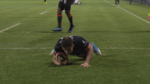 Lourugby GIFs - Get the best GIF on GIPHY
