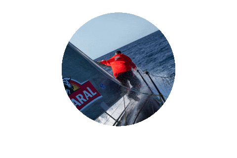 Charal Sailing Team GIFs on GIPHY - Be Animated