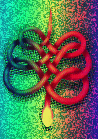Rainbow Snake GIF - Find & Share on GIPHY