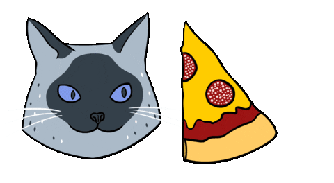 Levi vs Washing Machine GIFs on GIPHY - Be Animated