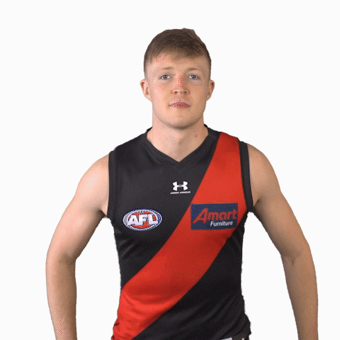 Essendon FC GIFs on GIPHY - Be Animated