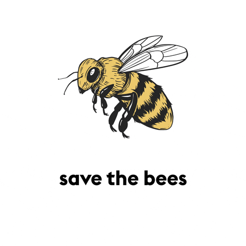Save-the-bees GIFs - Get the best GIF on GIPHY