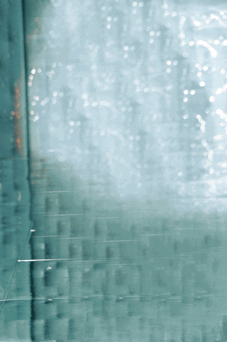 Plastic Shirt GIFs - Get the best GIF on GIPHY