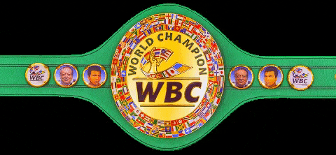 wbcboxing GIFs on GIPHY - Be Animated