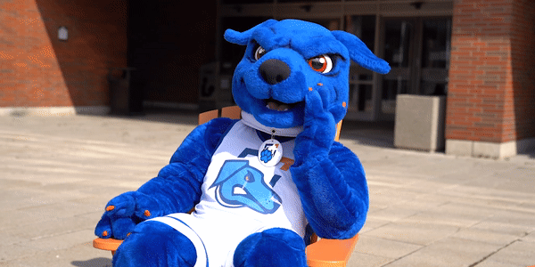 Mascot Hunter GIF by OntarioTechU - Find & Share on GIPHY