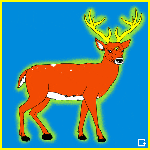 Chernobyl Nuclear Power Plant GIFs - Find & Share on GIPHY