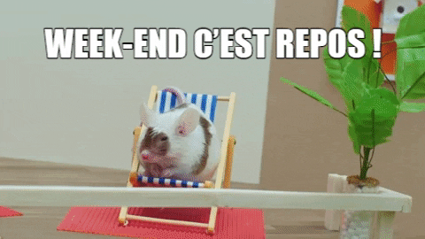 Cest Weekend GIFs - Find & Share on GIPHY