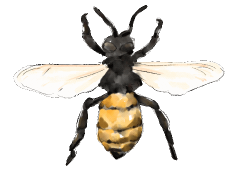 Honey Bee Garden Sticker for iOS & Android | GIPHY
