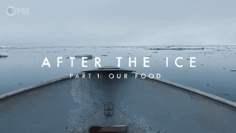After the Ice GIFs on GIPHY - Be Animated