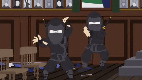 Ninja Gif