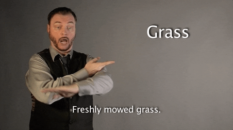 Sign Language Grass GIF by Sign with Robert - Find & Share on GIPHY