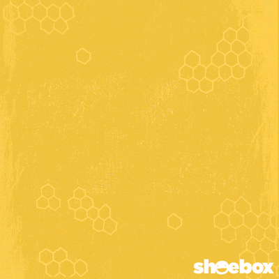 Hive-five-bee GIFs - Get the best GIF on GIPHY