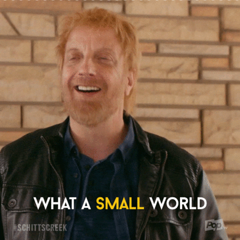 What-a-small-world GIFs - Find & Share on GIPHY