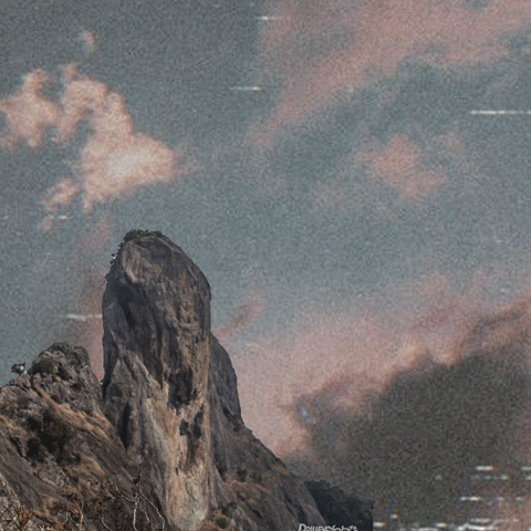 Mochila GIF - Find & Share on GIPHY
