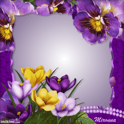 Imikimi Com Flower Frame | Best Flower Site