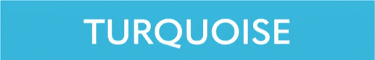 Turquoise GIF by BoutineLA - Find & Share on GIPHY