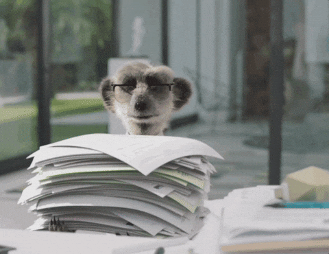 Paperwork GIFs - Get the best GIF on GIPHY