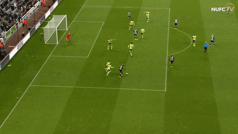 Newcastle United Football Club GIF - Find & Share on GIPHY