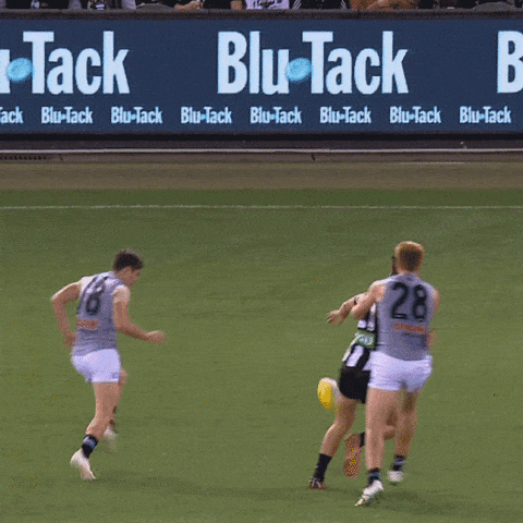 Afl Tackle GIF by CollingwoodFC - Find & Share on GIPHY