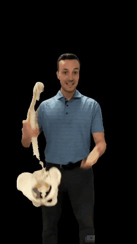 Premier Chiropractic Clinic GIF - Find & Share on GIPHY