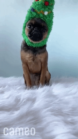 Merry Christmas Dog GIF by Cameo - Find & Share on GIPHY