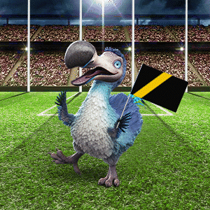 Afl Footy GIF by Dodo Australia - Find & Share on GIPHY
