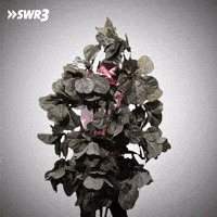 Hiding In The Bushes Gif