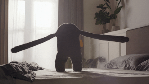 Sloth Dance GIFs - Get the best GIF on GIPHY