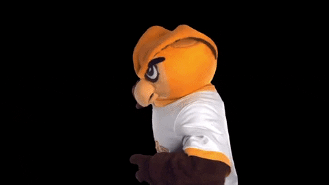 Ncaa Mascot GIF by Rowan University - Find & Share on GIPHY
