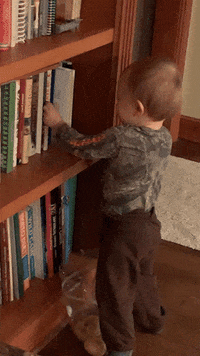 Baby Reading Book Gif