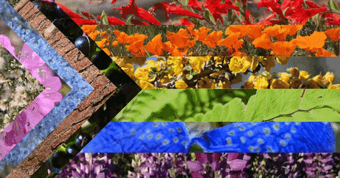 California Native Plant Society GIFs on GIPHY - Be Animated