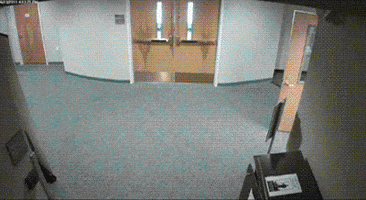 Deer GIFs - Find & Share on GIPHY