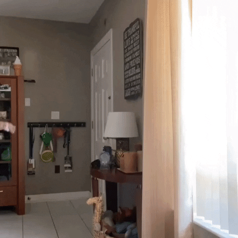 Fall Out The Window GIFs - Get the best GIF on GIPHY