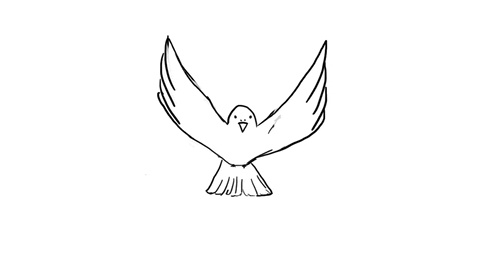 Birdflying GIFs - Get the best GIF on GIPHY