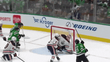 Dallas Stars GIFs on GIPHY - Be Animated