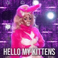 Cat-drag GIFs - Get the best GIF on GIPHY