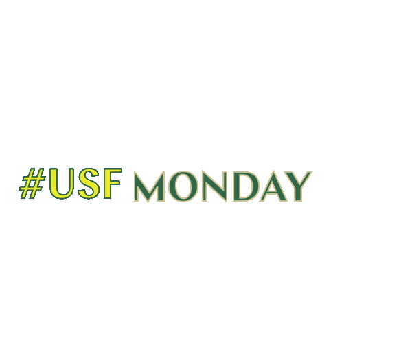 Usf Bulls Sticker by University of South Florida for iOS & Android | GIPHY