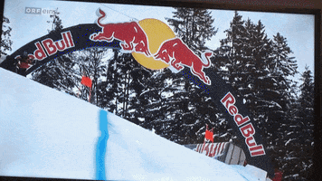 Skiing-crash GIFs - Get the best GIF on GIPHY