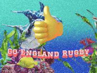 Rugby-union GIFs - Get the best GIF on GIPHY