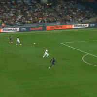 OGC Nice GIFs on GIPHY - Be Animated