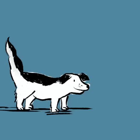 Dog Dogwalk GIF - Find & Share on GIPHY